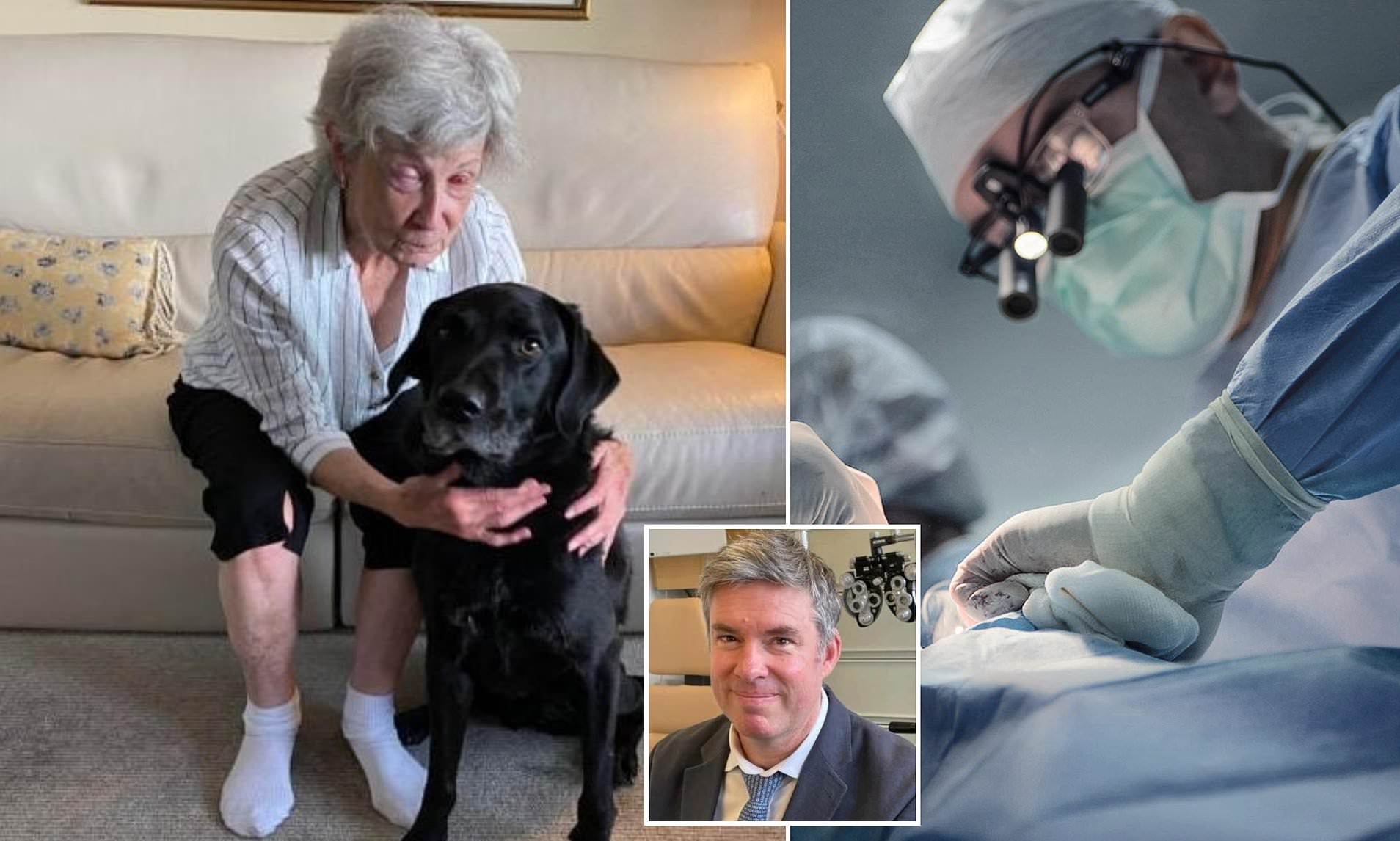 Blind woman can now see through her TOOTH thanks to rare surgery