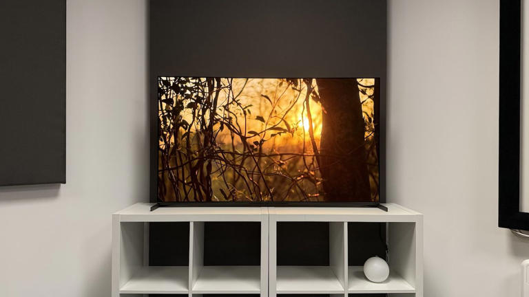 Sony fans receive encouraging news regarding the 'Bravia Inc ...