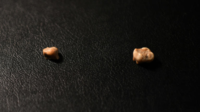 DNA has an expiration date. But proteins are revealing secrets about ...