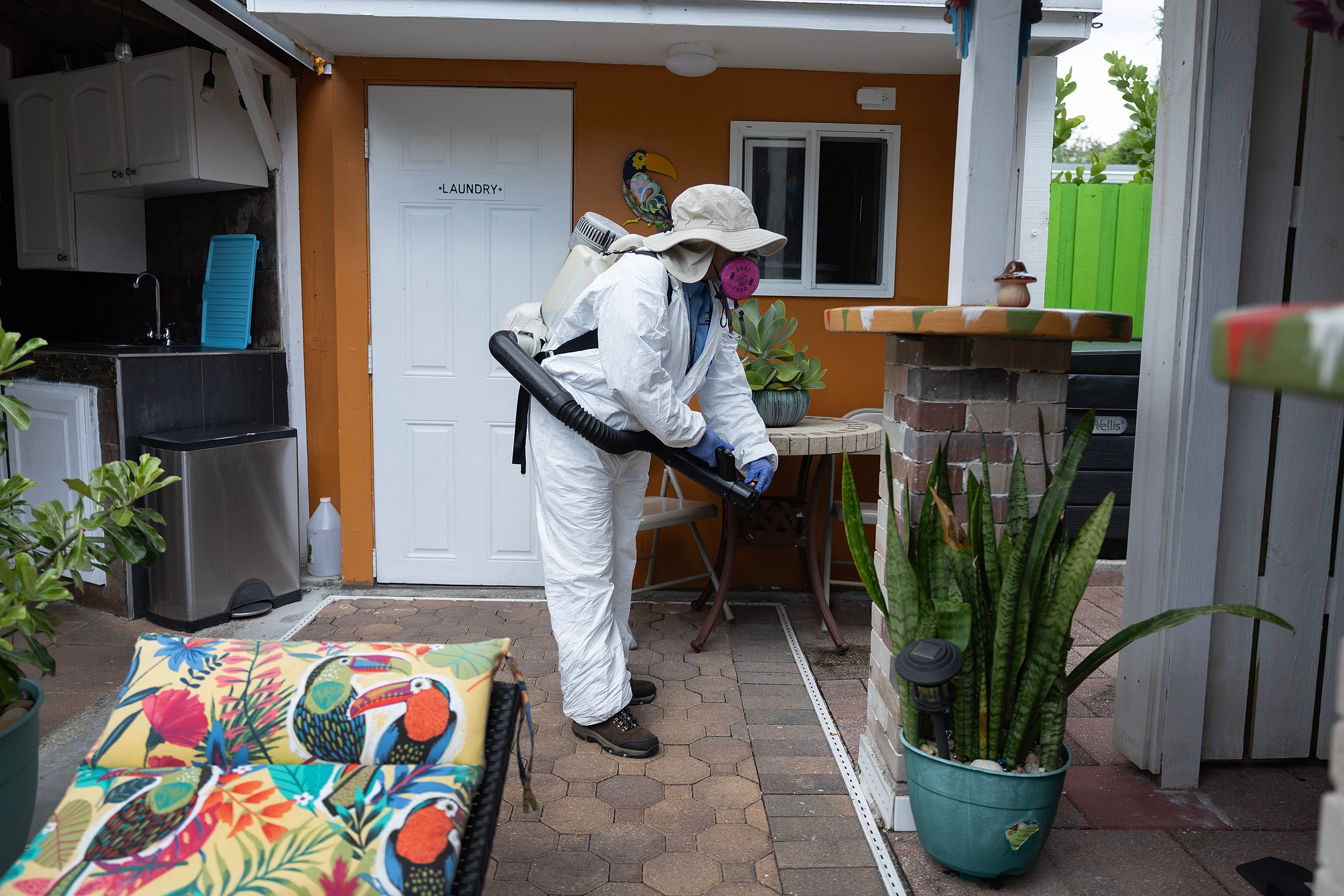 State sends out warning over unlicensed pest control operators going ...