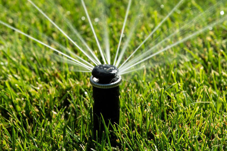 SNWA encourages residents to reduce landscape irrigation due to showers ...