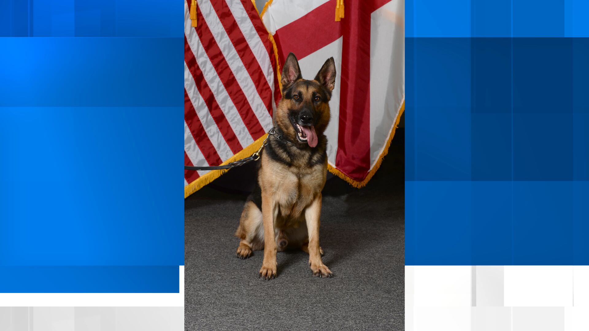 Alabama Law Enforcement Agency announces sudden passing of beloved K-9