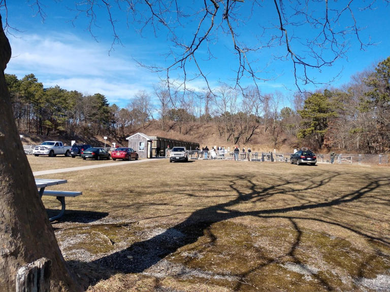 Long Island town’s GOP majority shuts down Dem’s motion to kill ...