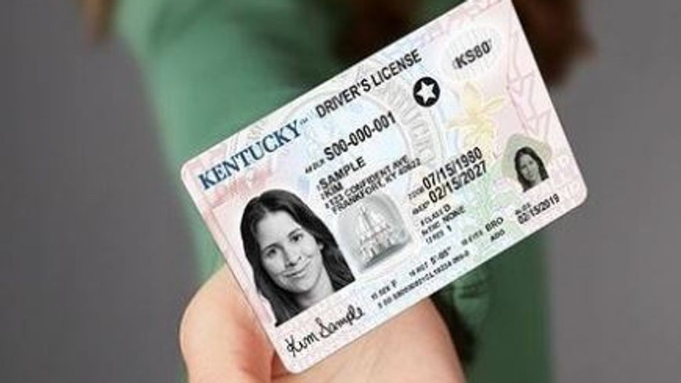 Alleged scheme to sell Kentucky drivers licenses to illegal immigrants ...