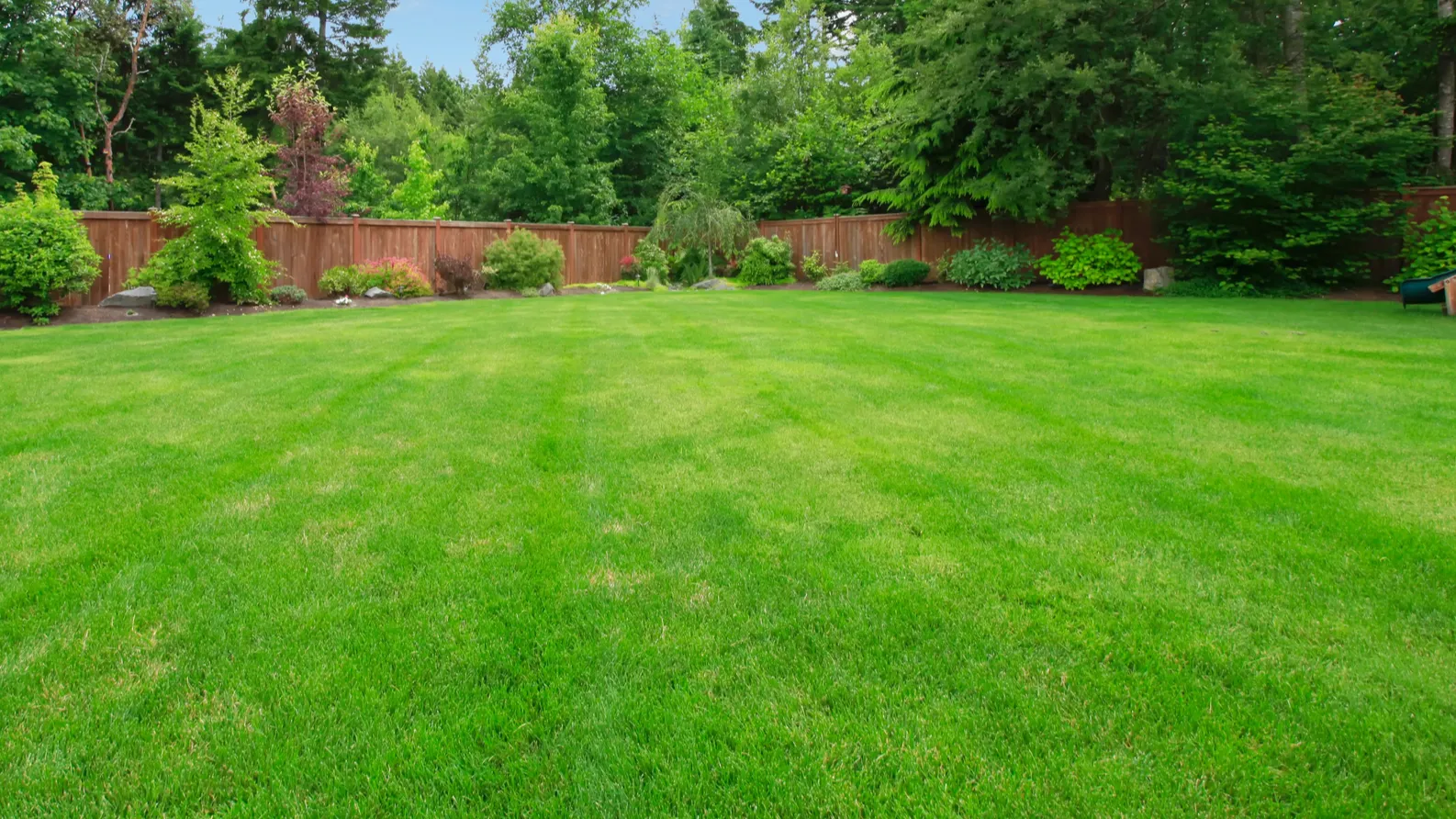 Landscaping ideas to skip this season