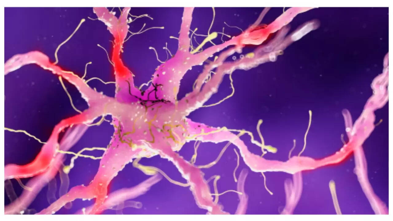 5 early signs that one's nervous system is breaking down