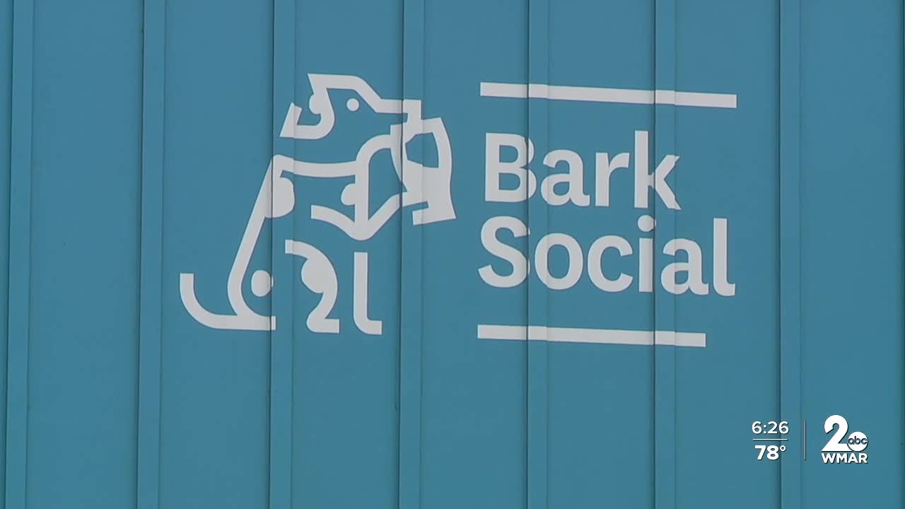 Bark Social reopens in Canton under new ownership after bankruptcy
