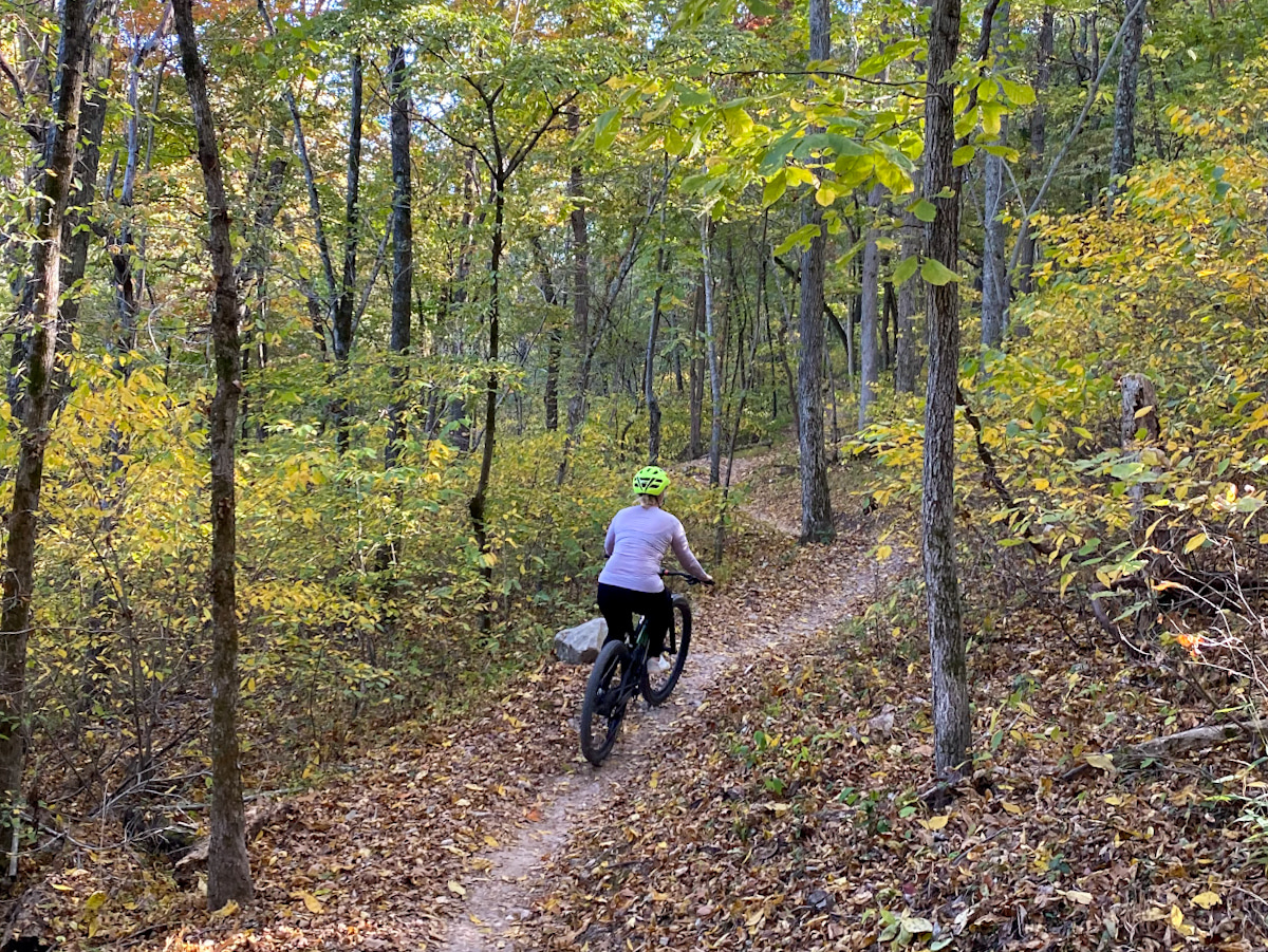 Fun Things to Do in Bentonville, Arkansas