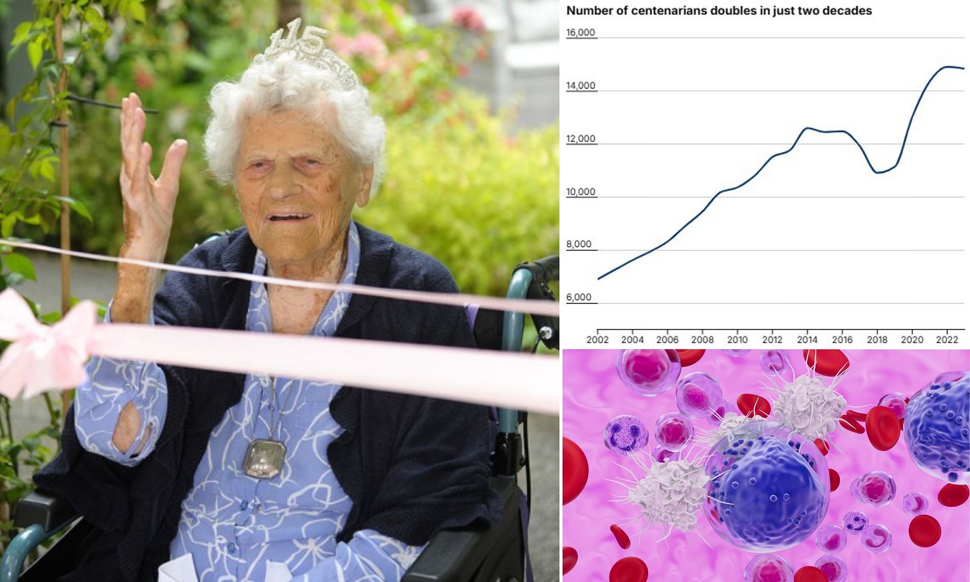 The secret to living longer may be the immune system's 'fountain of ...