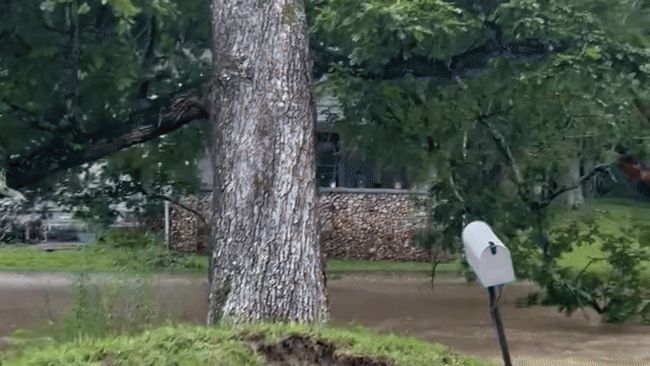'Oh My Gosh!': Moment Massive Tree Falls Onto Home During Northwest ...