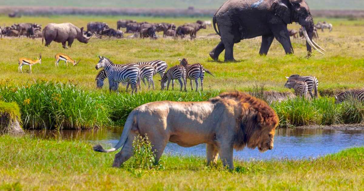 Scientists Discover Remains of 33 Species in Norwegian Cave With a ...