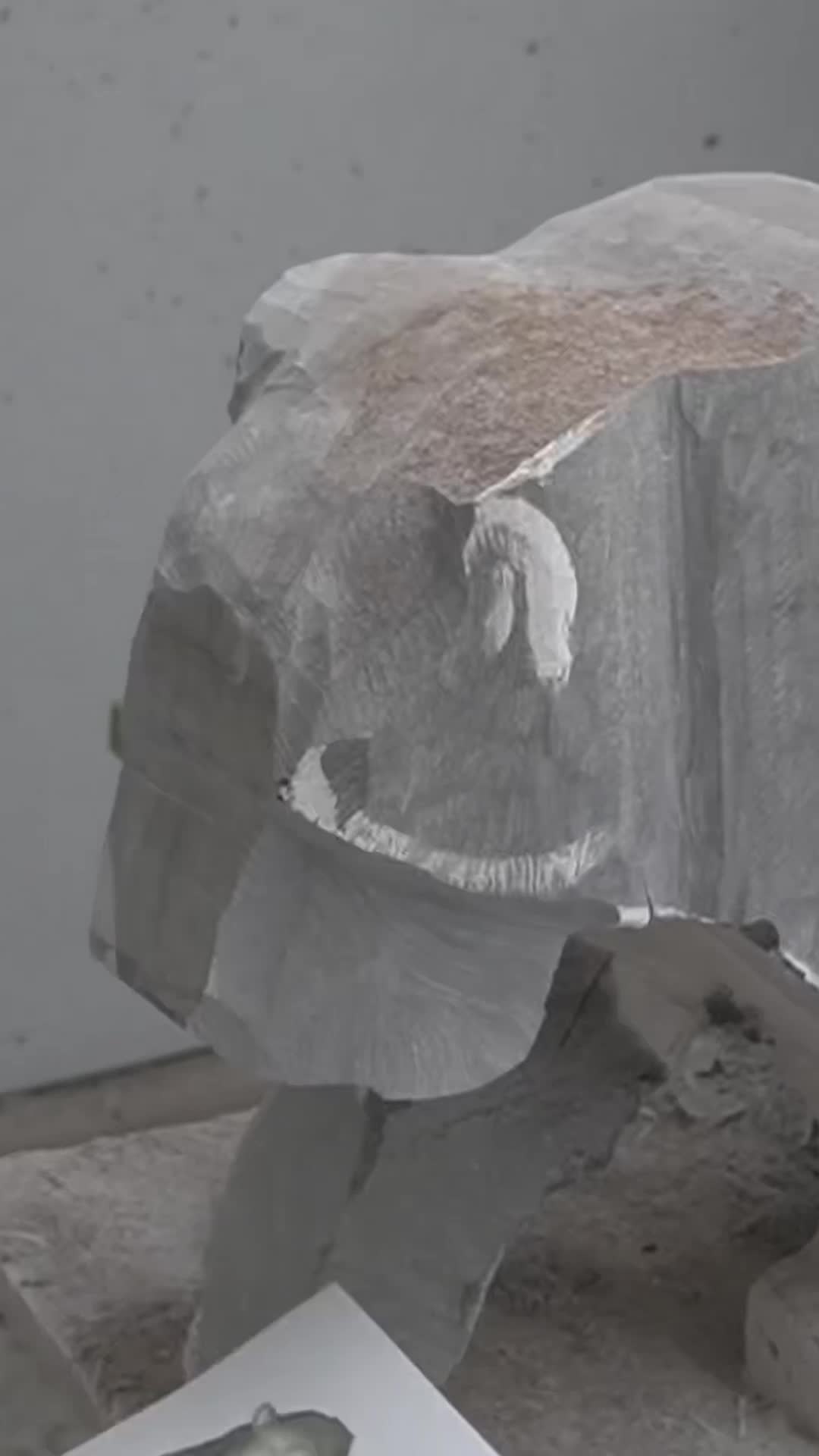 From chainsaw to art: carving a bear 🪚