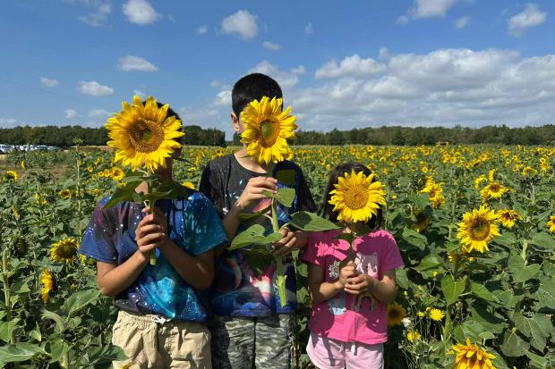 New Instagram hot spot attraction at farm proves popular with families