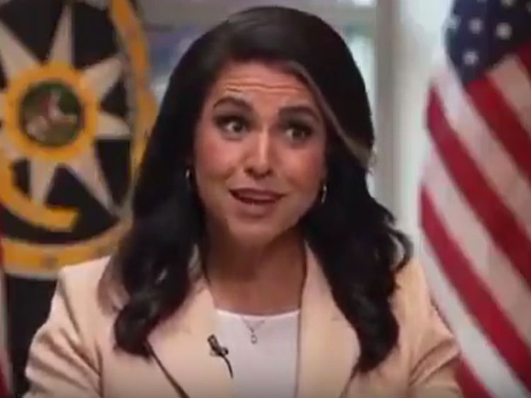Director of National Intelligence Tulsi Gabbard: We're Going To Prove ...