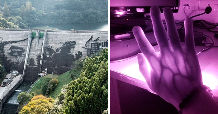 48 Random Things People Found That Are Too Interesting Not To Share