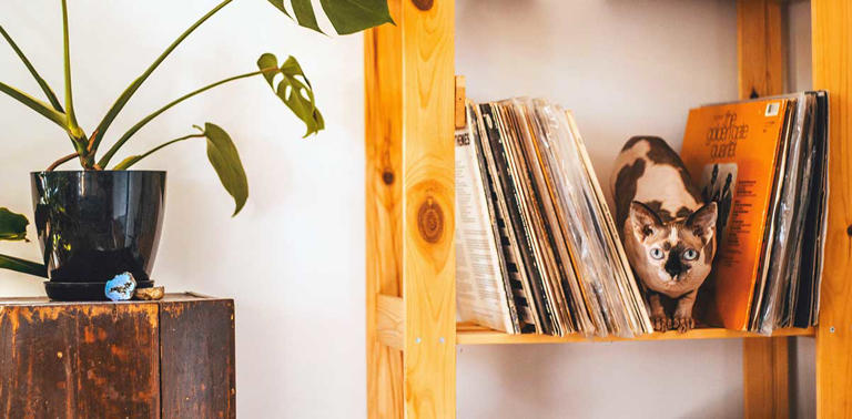 Classical Cats: What Music Do Cats Like Best?