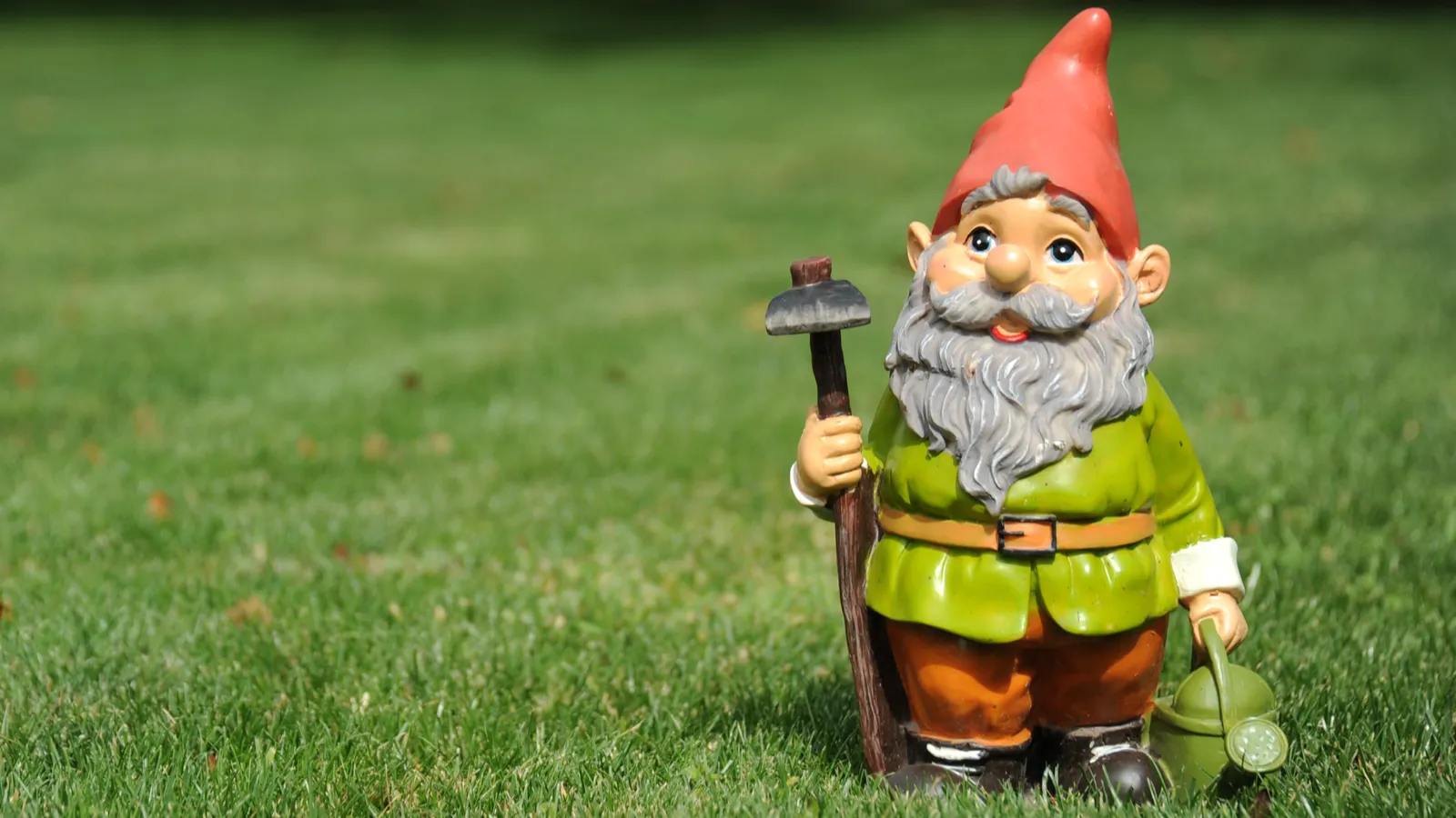 Odd upgrades that make your backyard look better