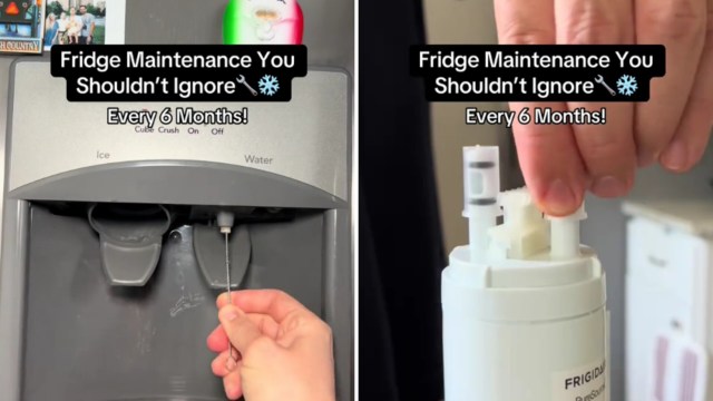 Dad shares simple tips to keep your fridge running in tip-top shape ...