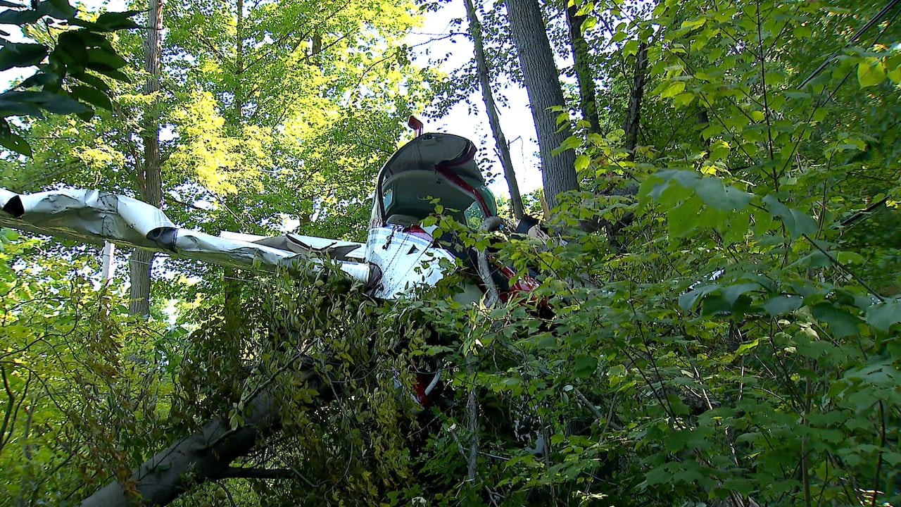 Witnesses concerned about environmental impact of Ottawa plane crash