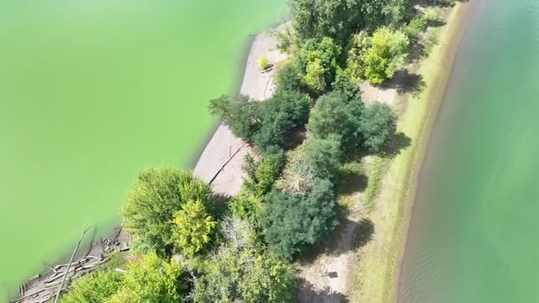Toxic algae bloom warning issued for Willamette River from Ross Island ...