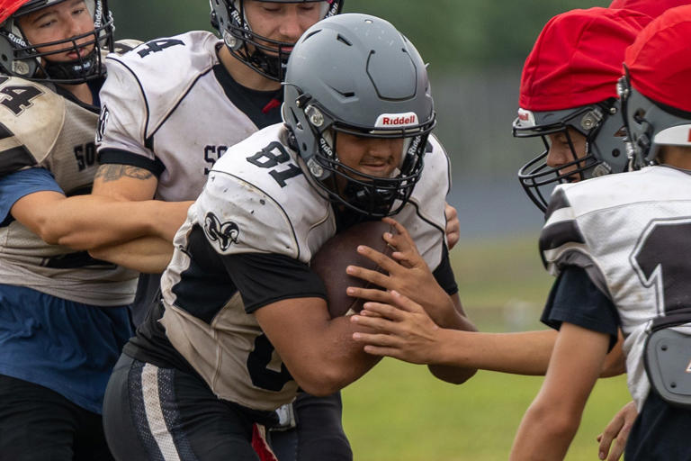 Beaver Valley high school football roundup: Freedom Area hands New ...