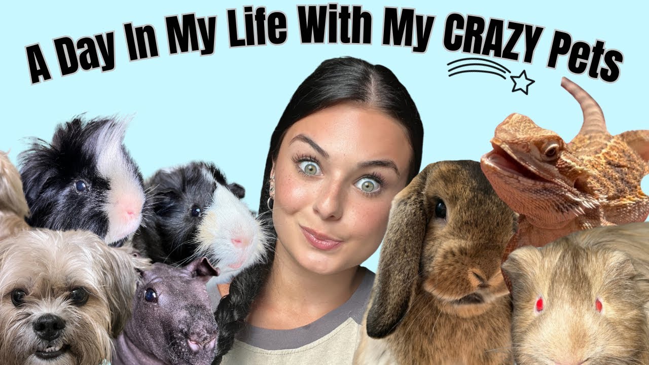 A Day in My Life With My Crazy Pets: Total Chaos Ensues!