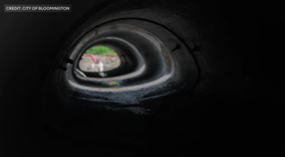 Minnesota town creates safe passage for turtles with a tunnel under ...