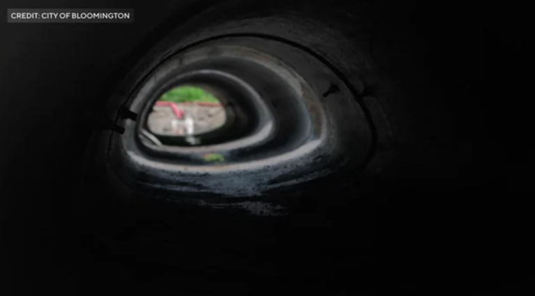 Minnesota town creates safe passage for turtles with a tunnel under ...