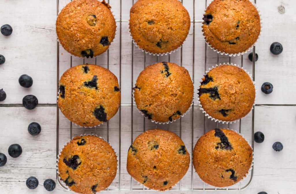 20 muffin batters to bake every which way