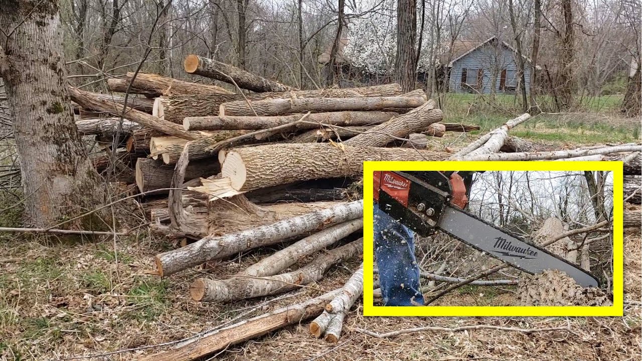 Remote Cabin Build – Land Clearing With M18 Fuel & Bobcat E42