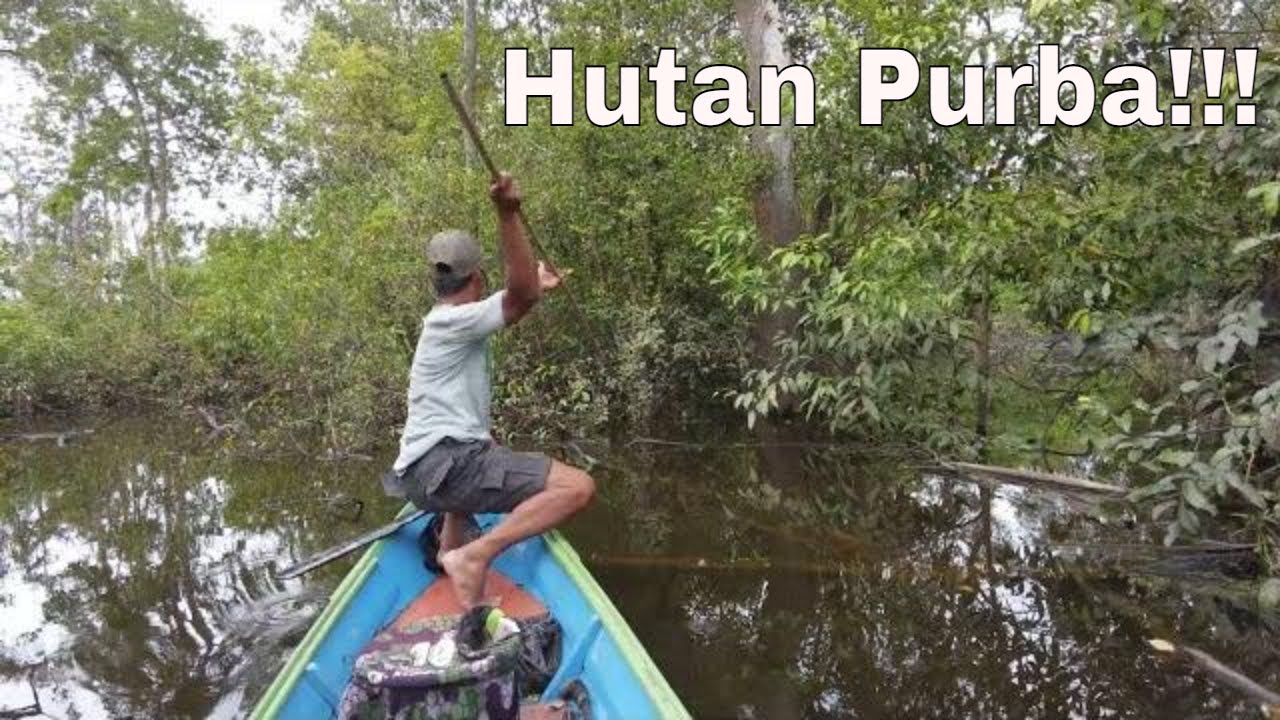Mau Heran? Ini Kalimantan, Gudangnya Ikan!