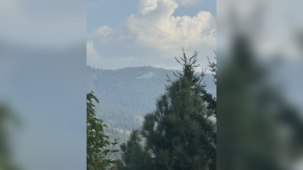 ‘This fire didn’t have to happen’: Human-caused wildfires raise alarm ...