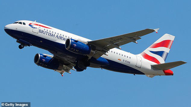 British Airways pilot 'is suspended after breaking anti-terror rules ...