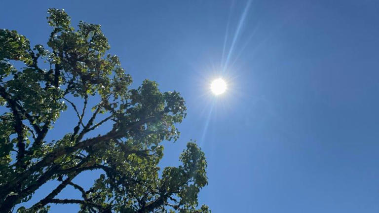 Summer-like heat continues as Portland area sees 80s through weekend