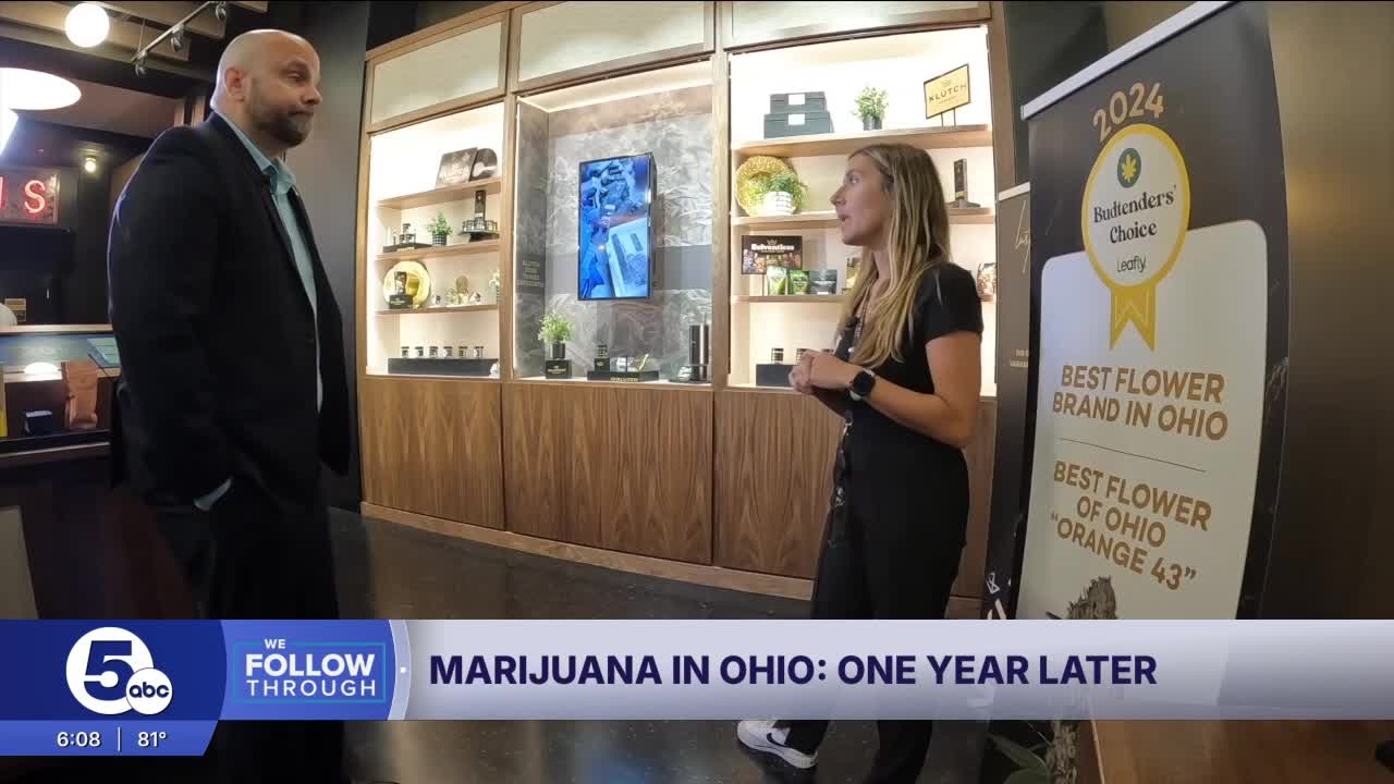 Marijuana 1 Year Later: Effects on Northeast Ohio health since adult ...