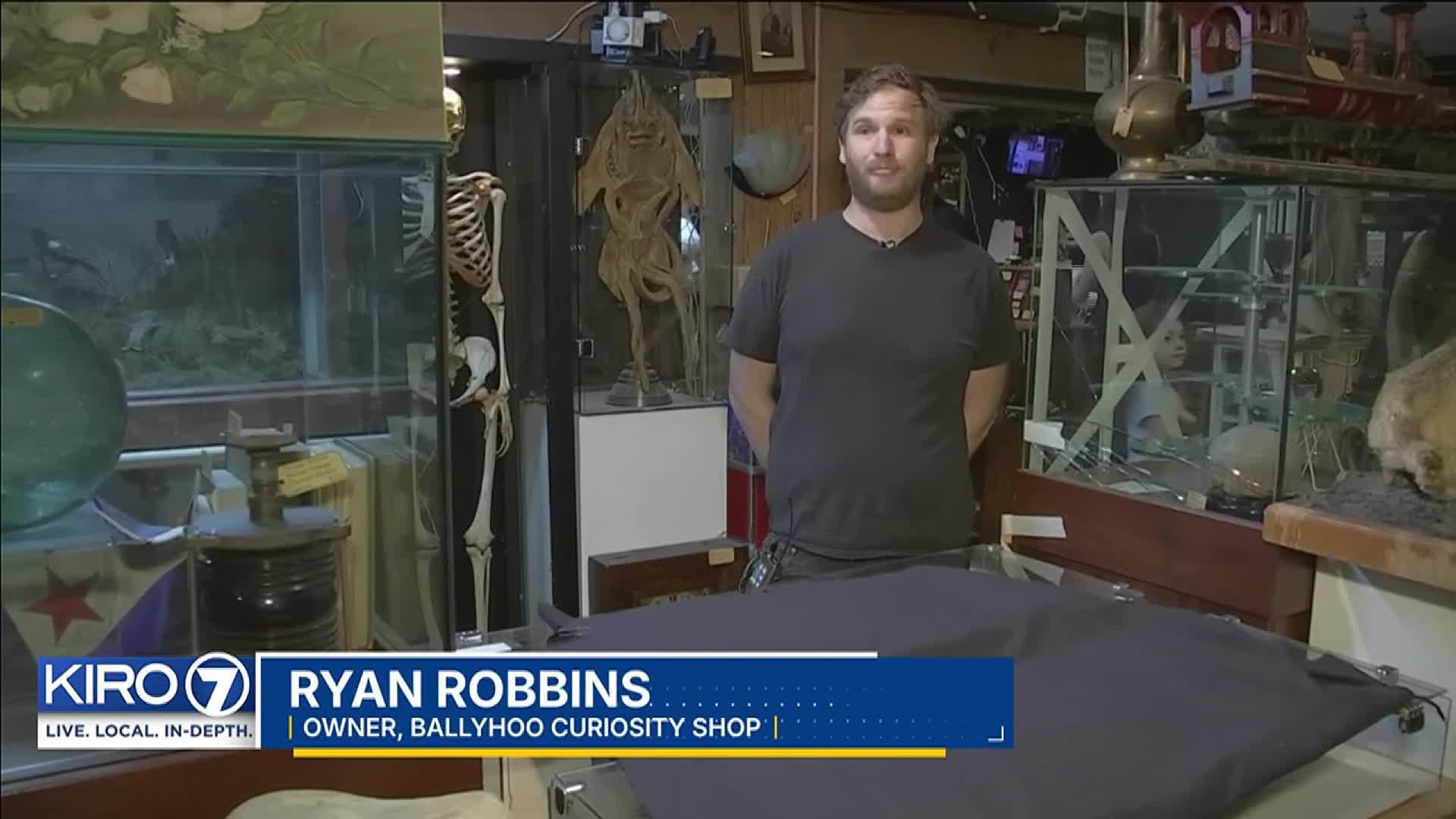 Megladon, woolly mammoth teeth among $20k worth of items stolen from ...