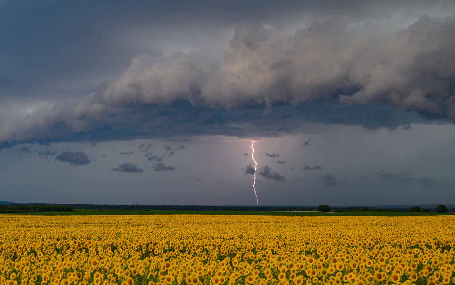 Dry thunderstorms: nature’s invisible wildfire trigger