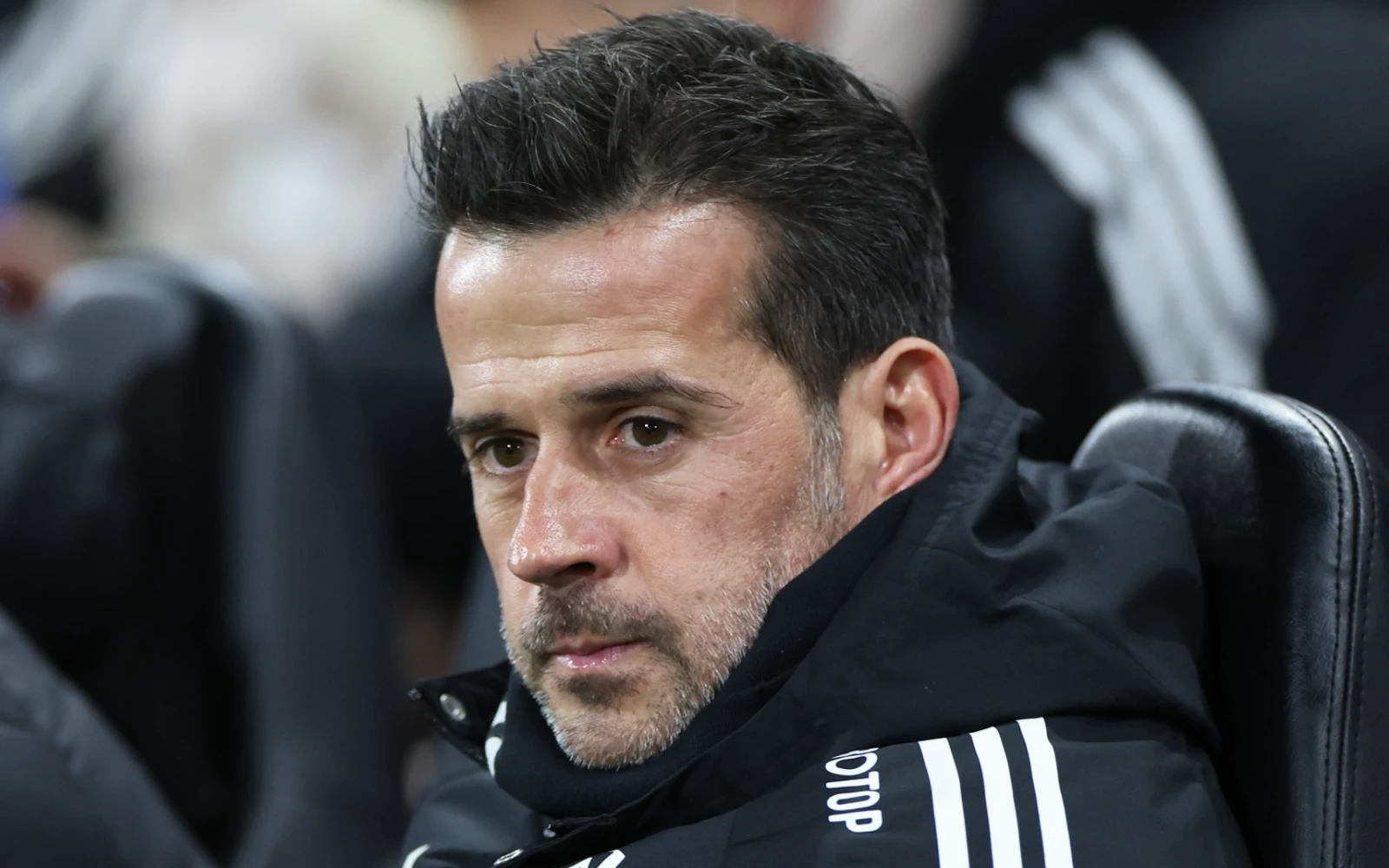 Silva to leave Fulham in close season