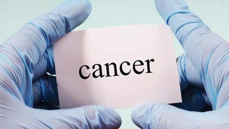 Can a Vegetarian Diet Cut Your Cancer Risk Up to 45%? Here Is What New ...