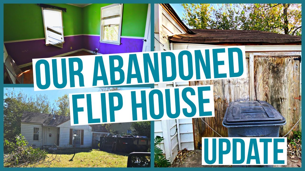 Project House Update | Progress and Next Steps!