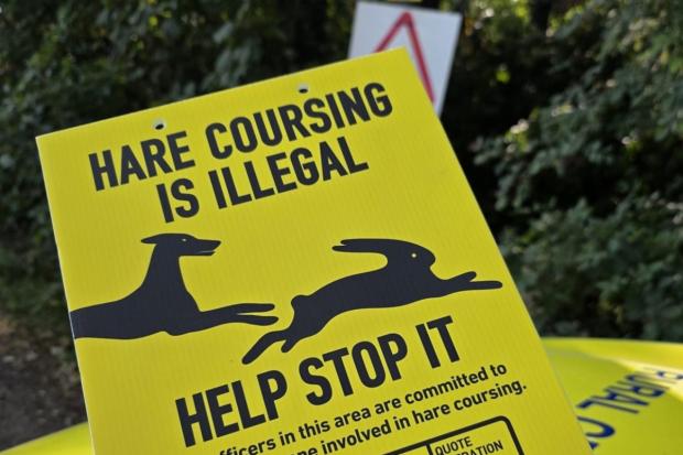 Court names suspect charged with trespassing on Warrington farm to ...