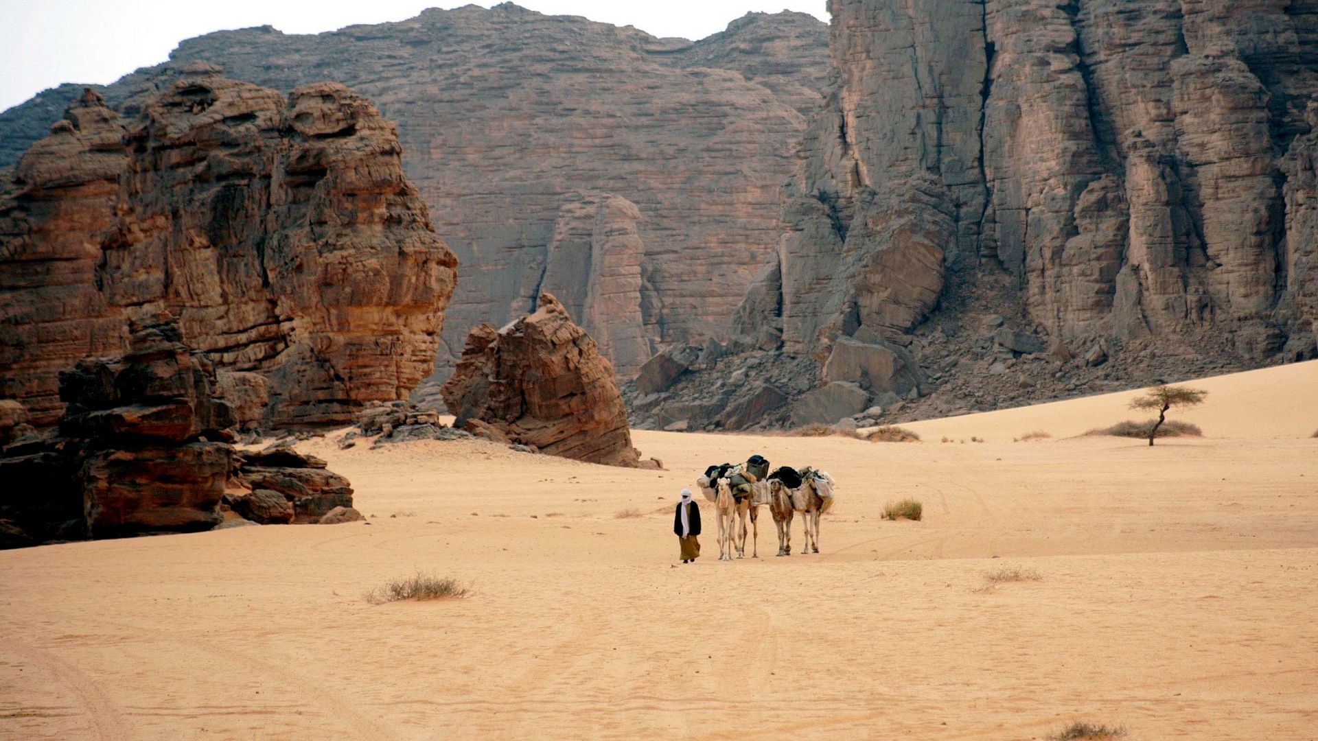 Researchers uncovered more than 15,000 rock carvings in Tassili n’Ajjer ...