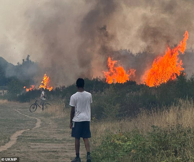 Scientists warn a new weather phenomenon dubbed the 'FIREWAVE' will ...
