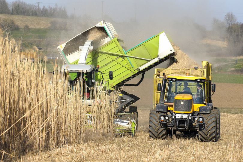 Devon farming supply business Mole Valley returns to profit