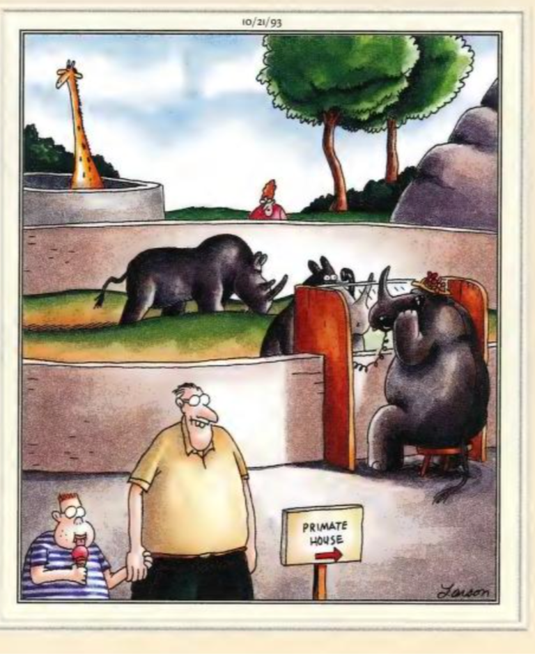 10 Funniest Far Side Comics featuring Rhinos, Ranked