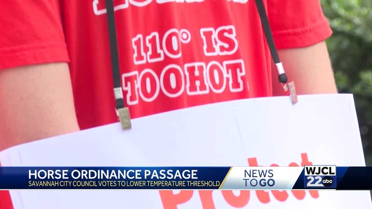 Savannah city council horse ordinance vote