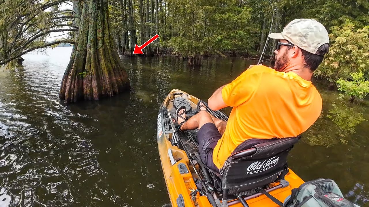 Big ones hiding in flooded forest with vicious topwater strikes