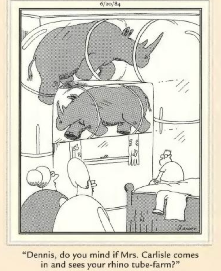 10 Funniest Far Side Comics featuring Rhinos, Ranked