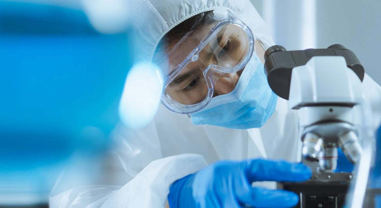 Científicos acotan la edad exacta en la que se acelera el ...