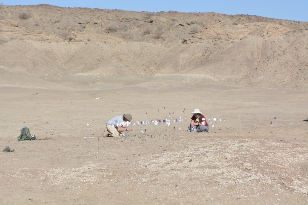 A Lost Chapter In Human Evolution Has Finally Been Uncovered